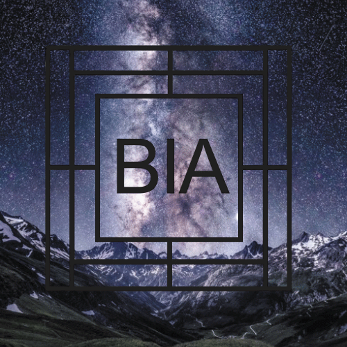 BIA Agency | Beauty IQ Institute’s Elite Career Platform